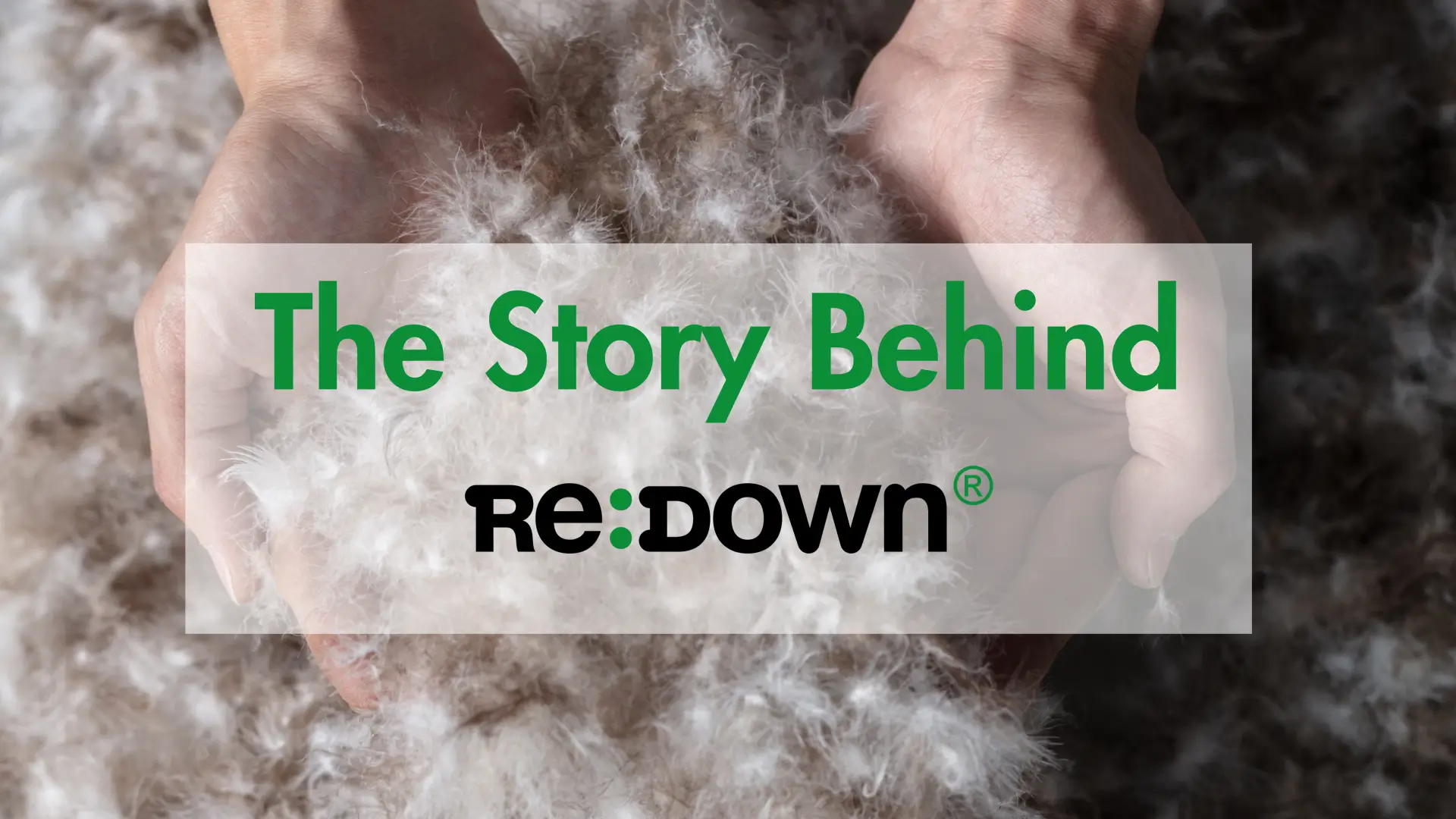 The Story Behind Re:Down... - Re:Down®