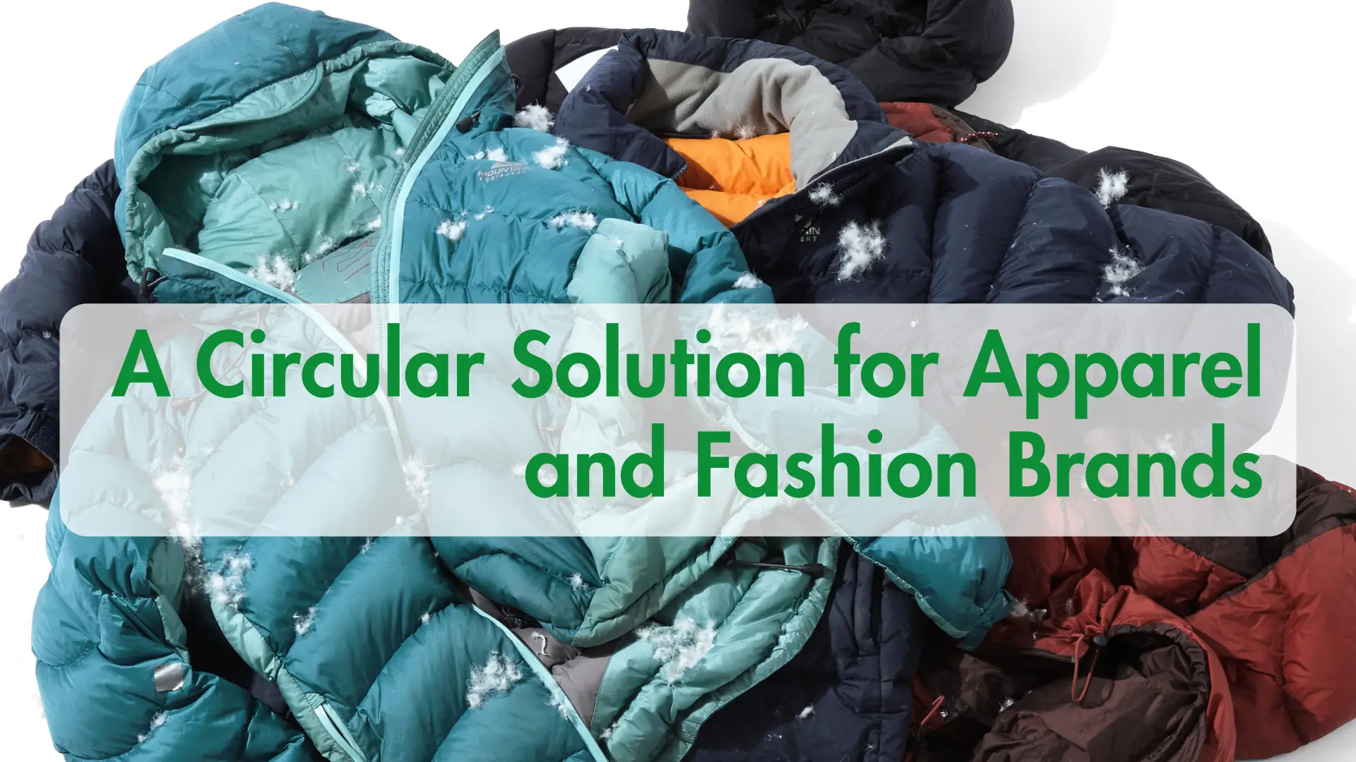 A circular solution for apparel and fashion brands - Re:Down®